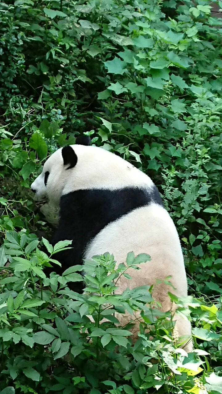 課程資訊 | 南臺科技大學 FlipClass 數位學習